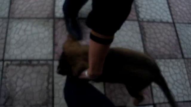 Тлеулес 1 серия Дети мои Детство  #путешествие #круиз #семья #саяхат #демалыс #отдых #отпуск