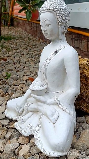 #последождя#южныйсад#садна4сотках#декоративныйсад#удачныйсад#садыкрыма