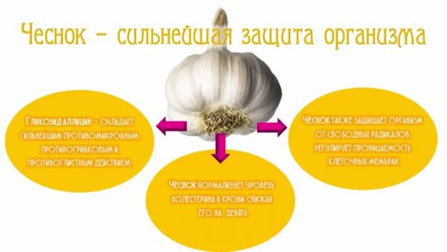 Защита организма