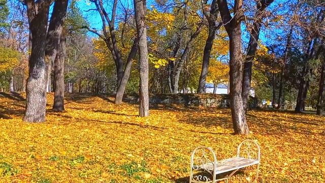 Ессентуки Курортный парк 2021 Осень