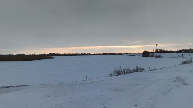 20-02-2026. большой кушум  лебяжье озеро.