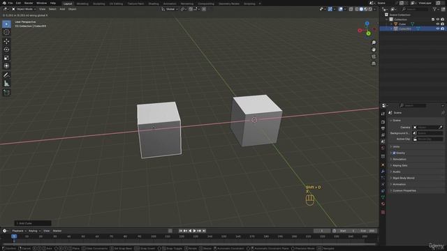 5 - 04 Duplicating Hide solo