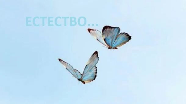 ЕСТЕСТВО 2026-02-20