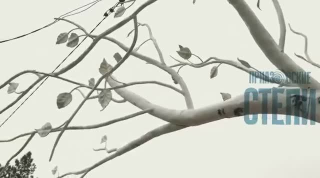 В посёлке Моревка Ейского района закладывают памятник матерям участников СВО