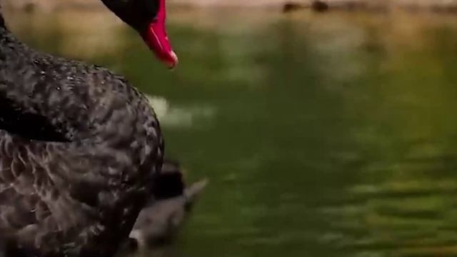 УТРО ИНГУШЕТИЯ 240226