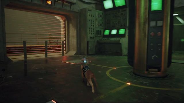 Stray (Прохождение) - Мидтаун