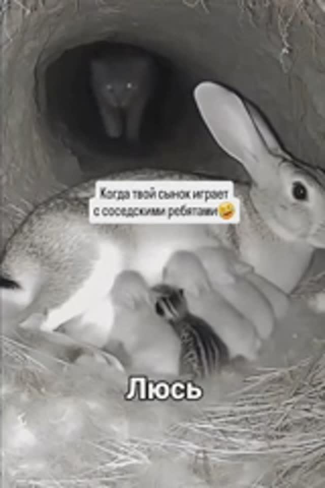 Немного милоты