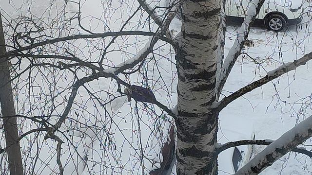 Прохожие на улице