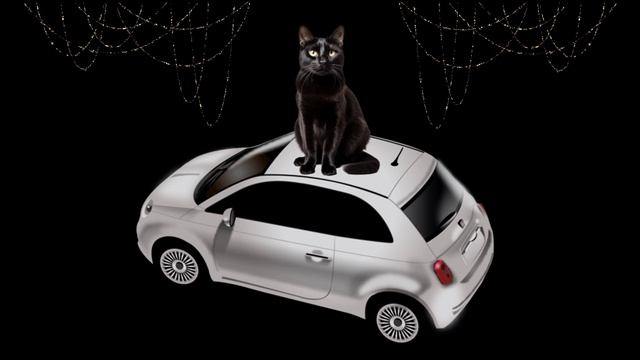 Едет, едет автомобиль. Звуки автомобиля