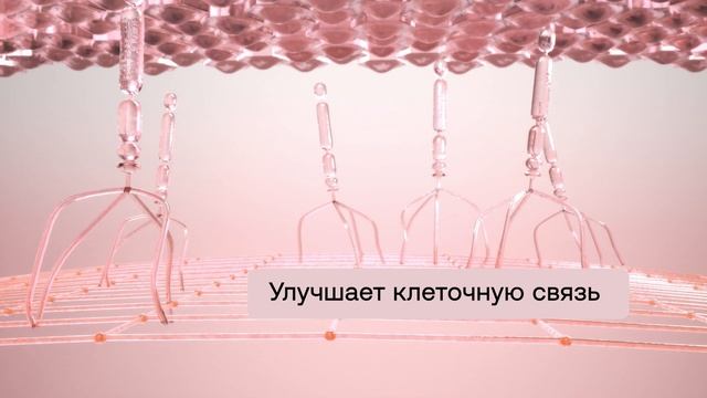 Линия проколлагенового ухода против морщин Timexpert Wrink·Less