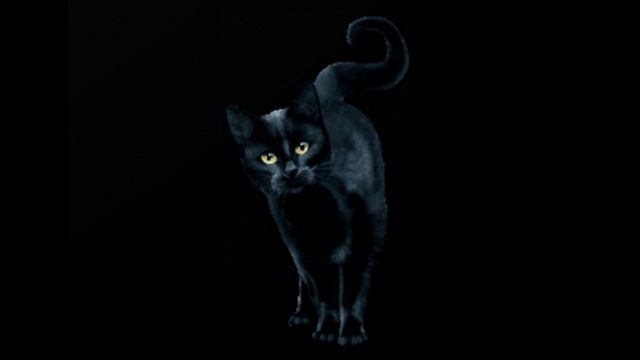 Кошкин сон. Начало