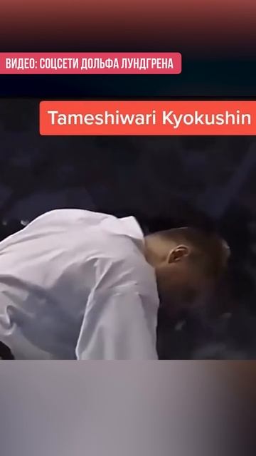 «Настоящий дух воина». Лундгрен рассказал, как повредил руку во время показательных выступлений