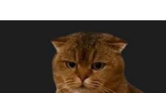 Забрал оружие Осы!