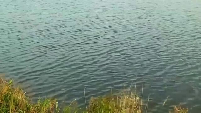 Уроки ловли на спиннинг от профи. Тактика и техника ловли судака