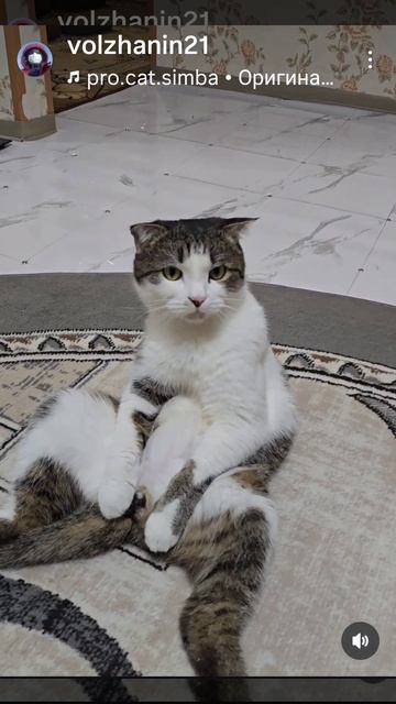 должность такая