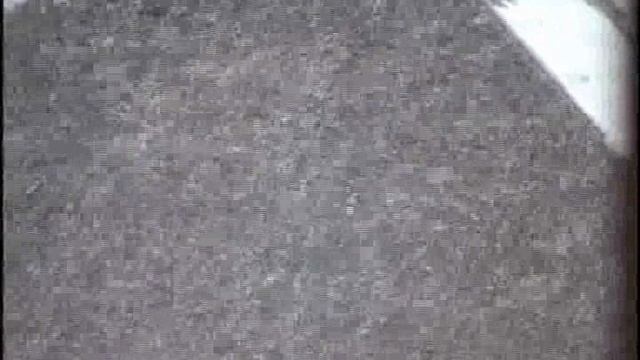 Заметает зима дворы и улицы. Васька шалит.