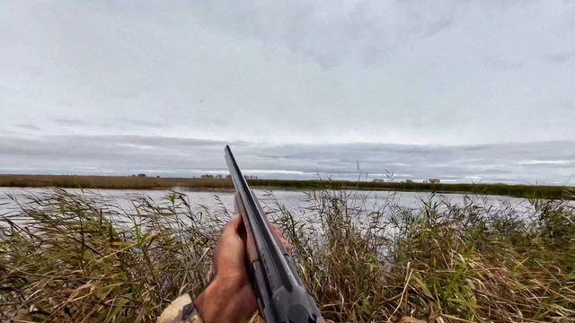 Охота на гуся 2025 | 5 гусей с 5 выстрелов! Невероятный налёт 🔥