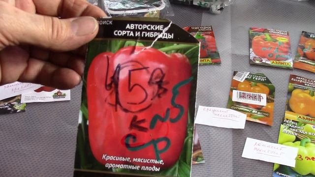 Волгоград. 19.02.2026 г. Перцы. Обзор семян и посадка рассады