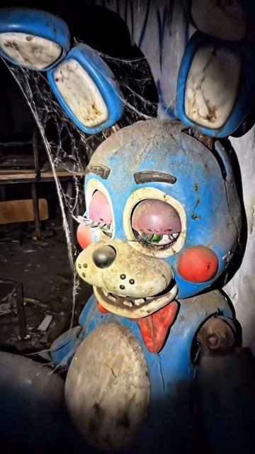 Потерянная игрушка