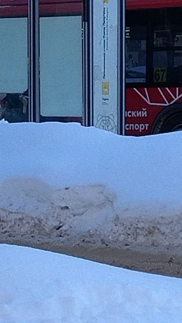 №1519 ул. Революции. 19 февраля 2026 г., 15:59:56 VID_20260219_155830704