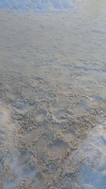 №1518 ул. Революции. 19 февраля 2026 г., 15:25:31 VID_20260219_152421770