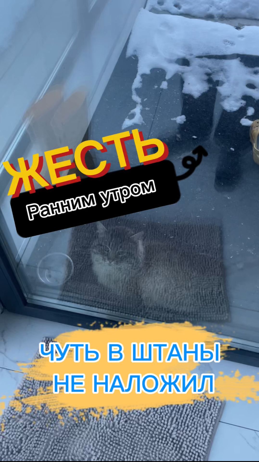 Жесть ранним утром