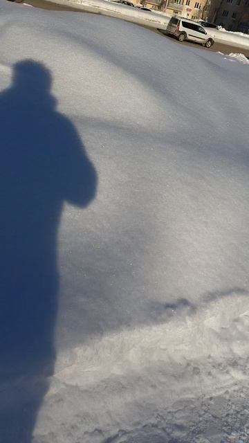 №1515 ул. Революции. 19 февраля 2026 г., 15:19:03 VID_20260219_151710404