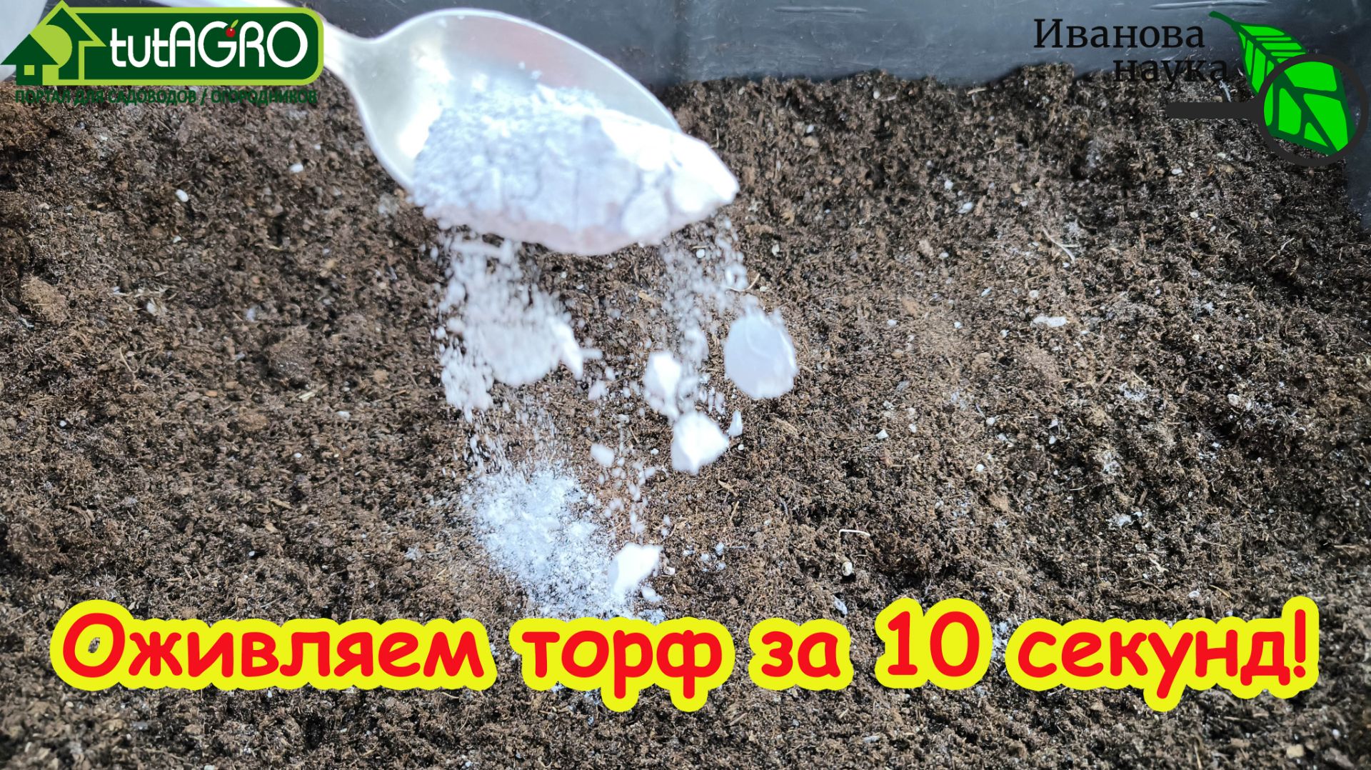 ОДНА ЛОЖКА изменит всё! Как превратить торф в супер-грунт одной ложкой. Секрет плодородия торфа.