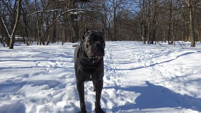 Последний солнечный зимний день в 2026 году.