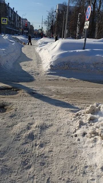 №1510 ул. Полины Осипенко. 19 февраля 2026 г., 14:59:44 VID_20260219_145854638