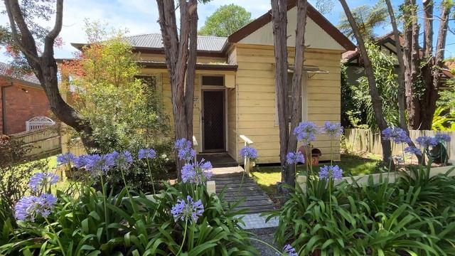 ВСЁ БЕСПЛАТНО-МЕБЕЛЬ, ПОСУДА, КЕНГУРУ, ТЕХНИКА НА УЛИЦАХ СИДНЕЯ (Me & Australia)