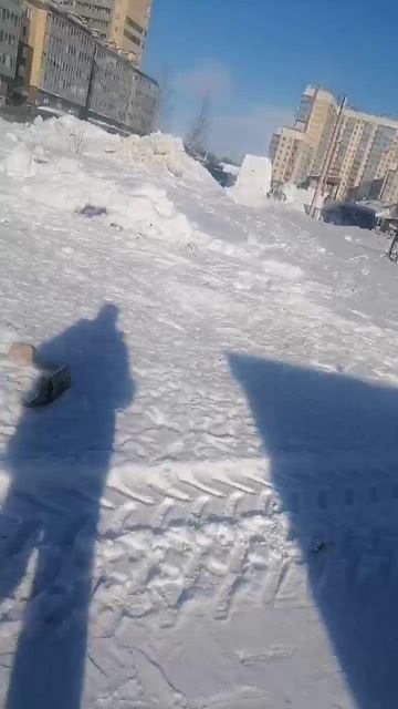 ЛЕН.ОБЛАСТЬ_ОСТРОВ..(3)._20260221-Mixail 238 Kn_Mshkn