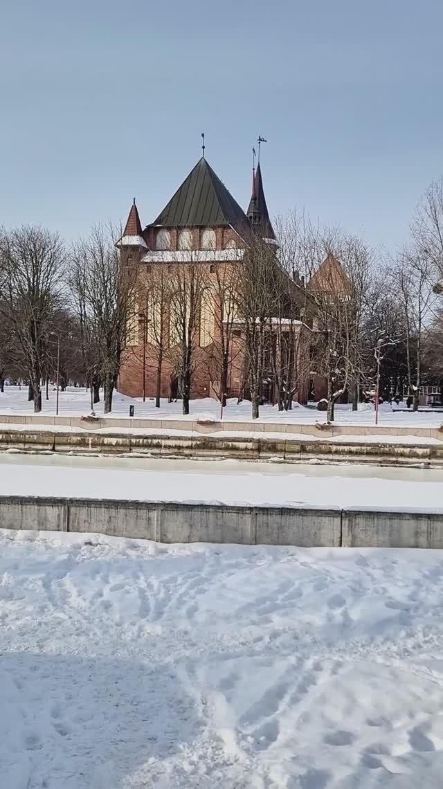 Полюбуйтесь зимним Калининградом!