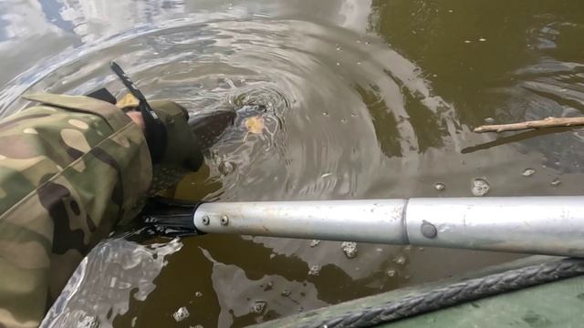 🔺️🎣ЖИВИ🎣🔺️fishing#туризм#природа#ловля#рыбалка#щука#ловлящуки#ночевка#Чулым#река#спиннинг