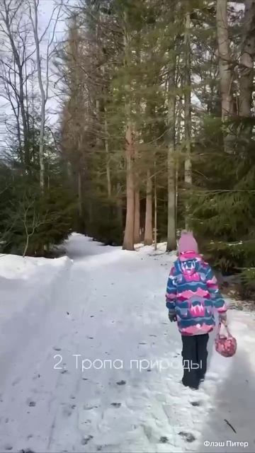 Зеленогорск предлагает живописные маршруты для прогулок