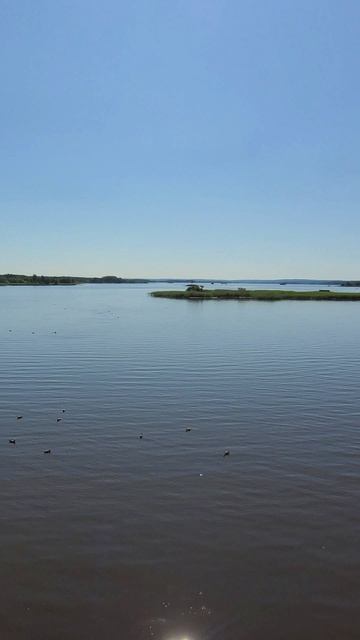 Вологодская область 2025. Вытегра. Водохранилище. Июль 2025г