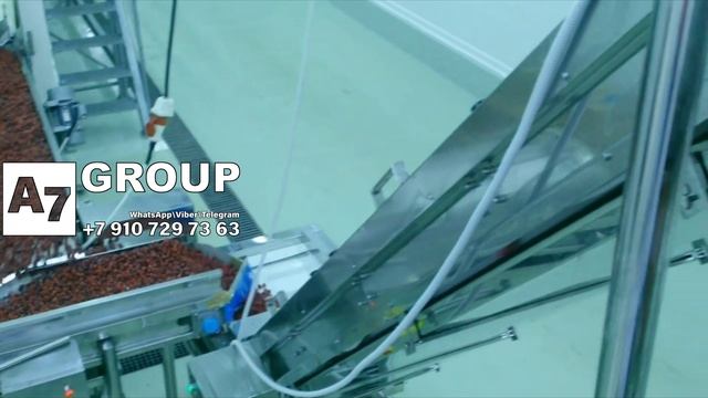 Оборудование для поточной заморозки малины #малина #заморозка #оборудование