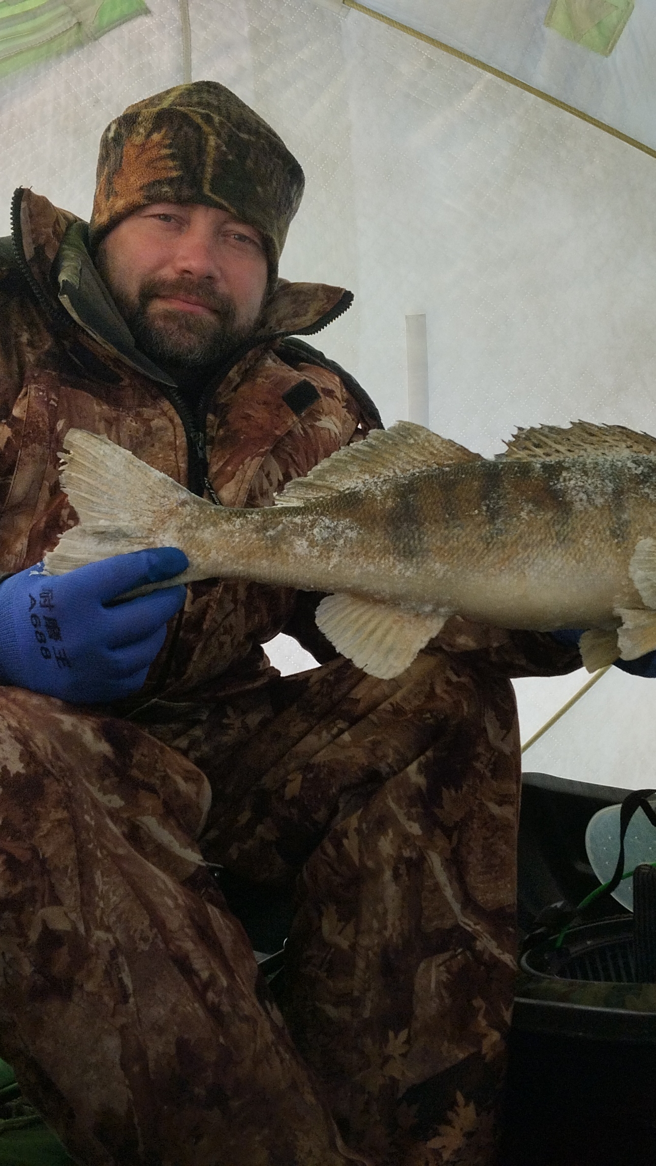 Судак и лещ