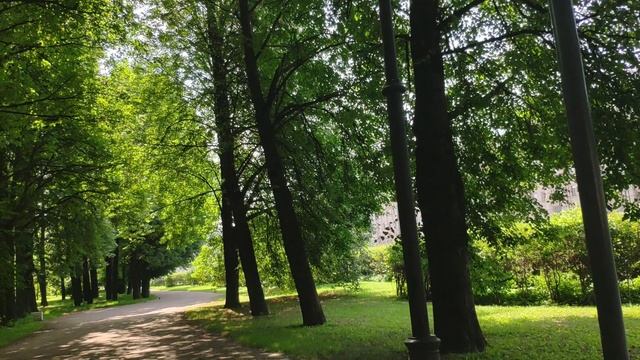 По Московскому проспекту Петербурга