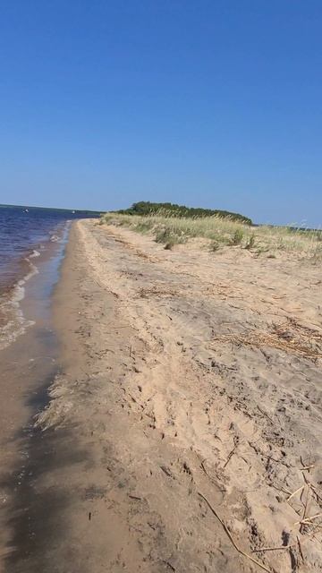 Карелия 2025. Челмужская коса. Онежское озеро. Июль 2025г (Часть 30)