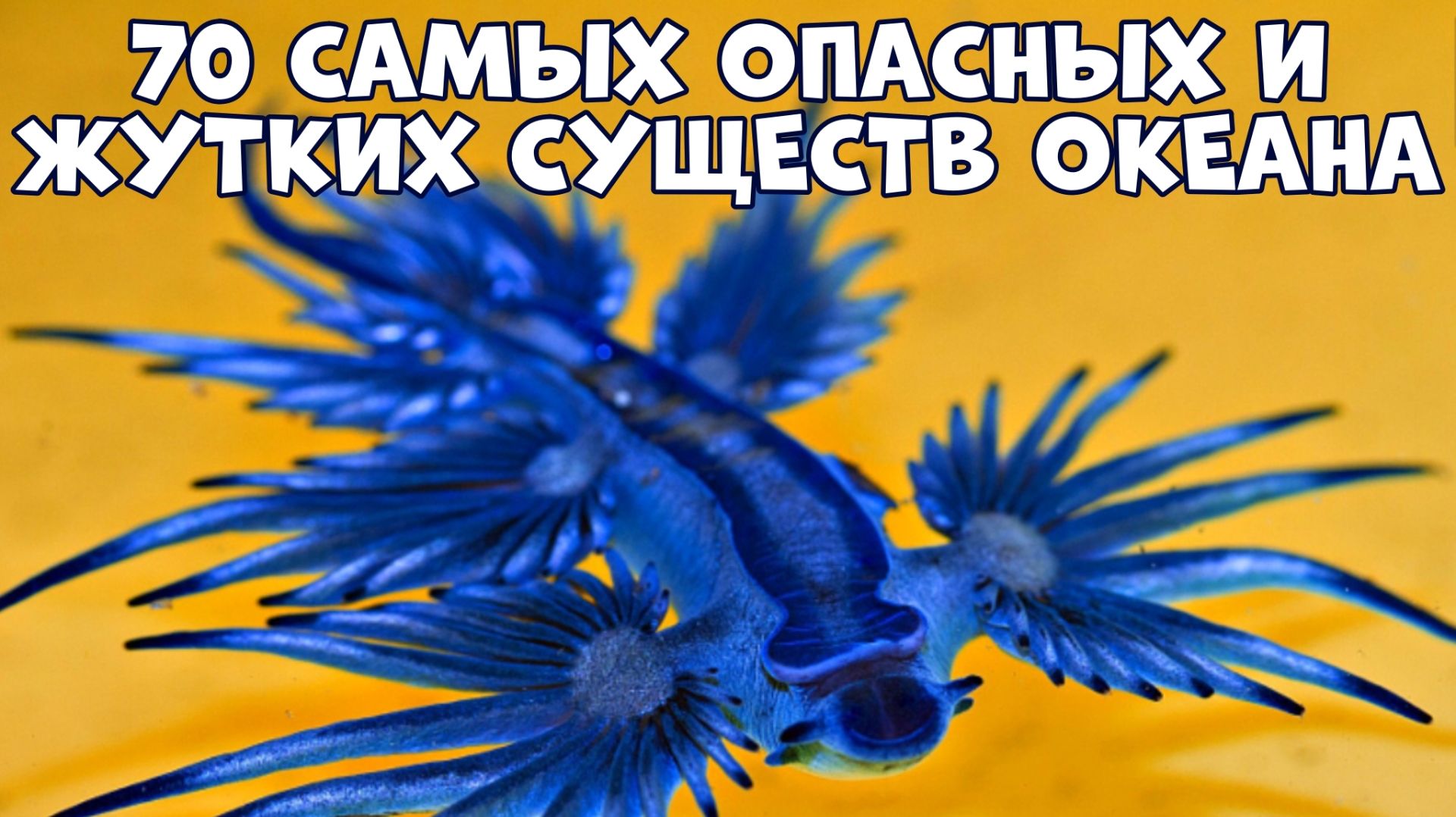 70 САМЫХ ОПАСНЫХ И ЖУТКИХ СУЩЕСТВ МИРОВОГО ОКЕАНА