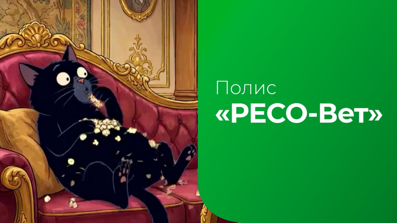 Полис «РЕСО-Вет». Круче детектива