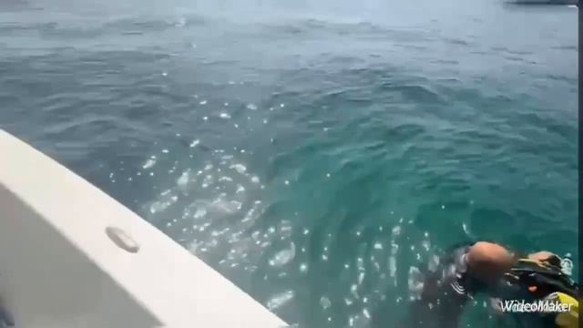 На недельку в Эмираты, шикарная погода