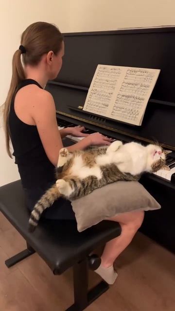 Играй я слушаю