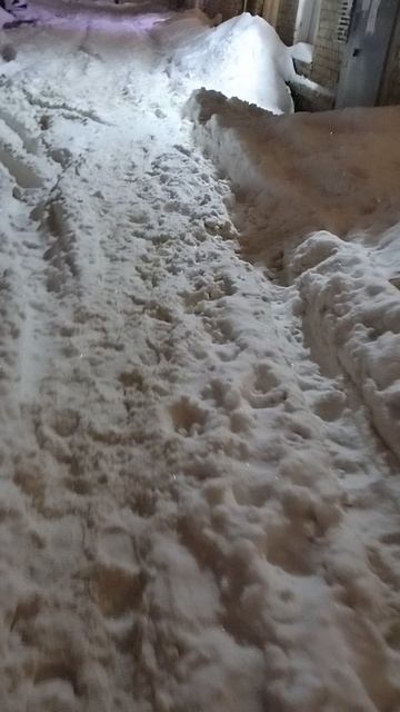 №1498 Двор Г. Звезда 73-Красноармейская 52 17 февраля 2026 г., 21:10:28 VID_20260217_210805254