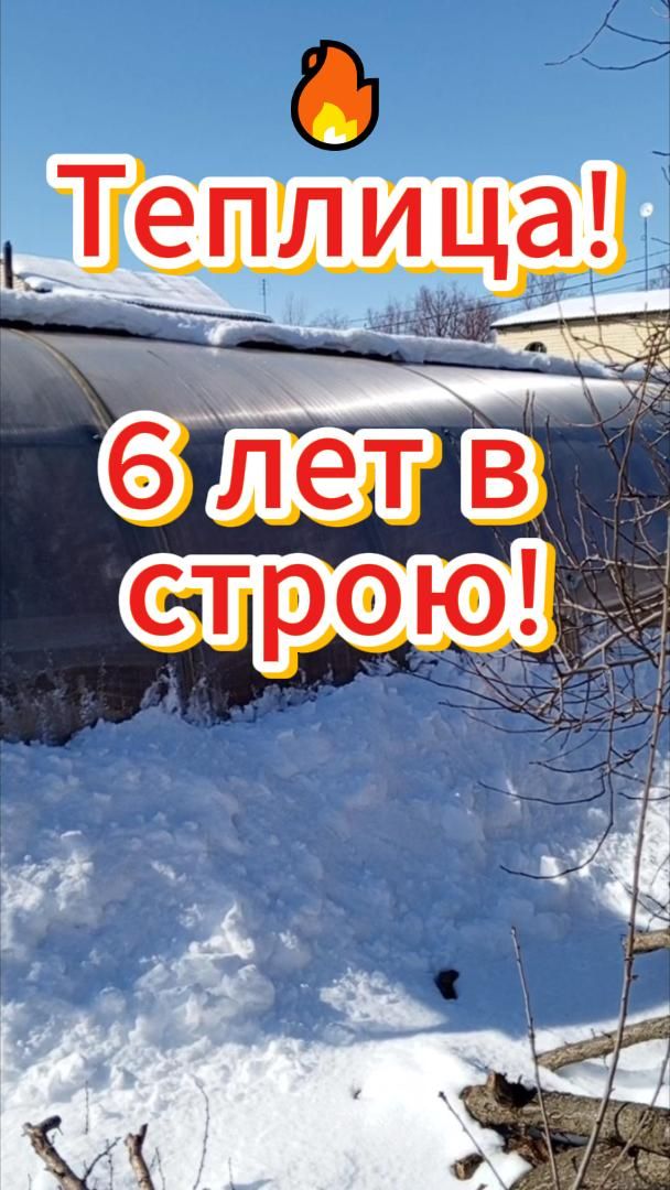 🔥 Теплица! 6 лет в строю!