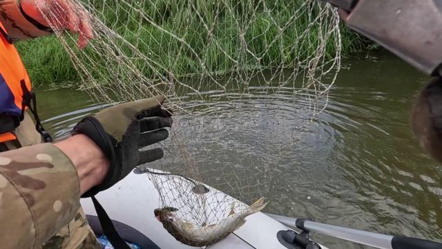 🔺️🎣ЕСТЬ🎣🔺️fishing#туризм#природа#ловля#рыбалка#щука#ловлящуки#ночевка#Чулым#река#спиннинг