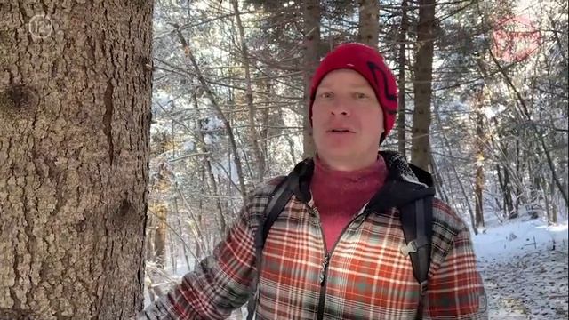 «По Уссурийскому краю». Лесные культуры.