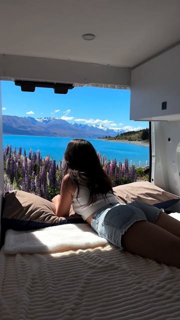 Новая Зеландия 🇳🇿