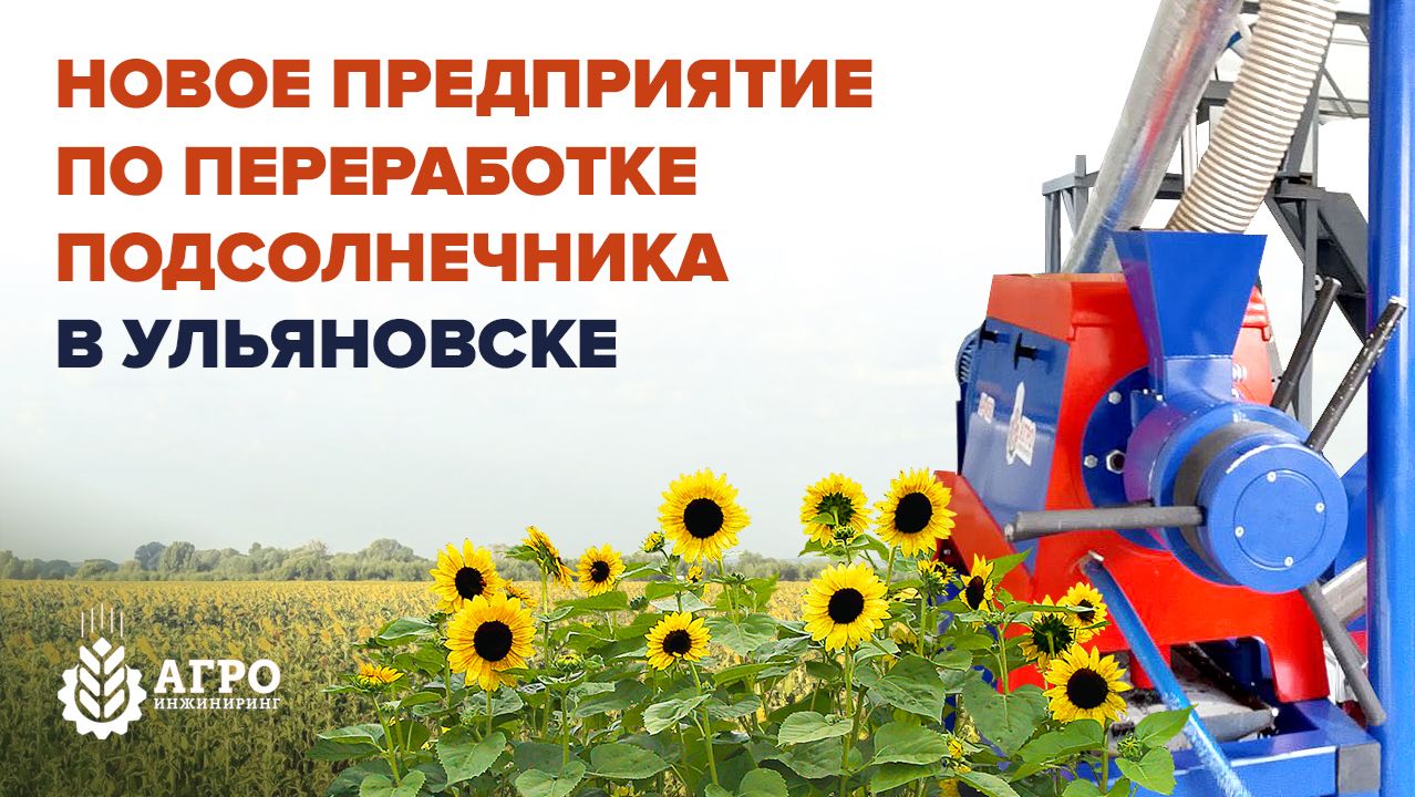 Запуск линия по отжиму подсолнечника в Ульяновской области. Наблюдения, выводы и советы.